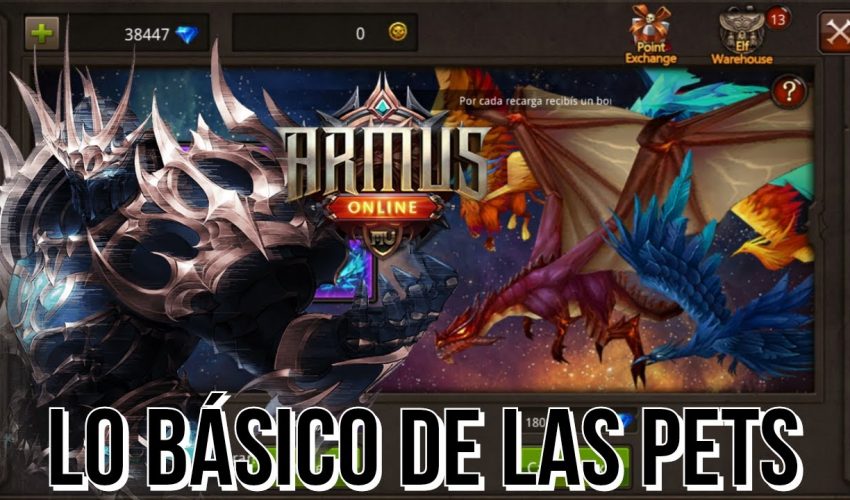 que debo saber sobre las pets en mu online – Guias Mu para Celular